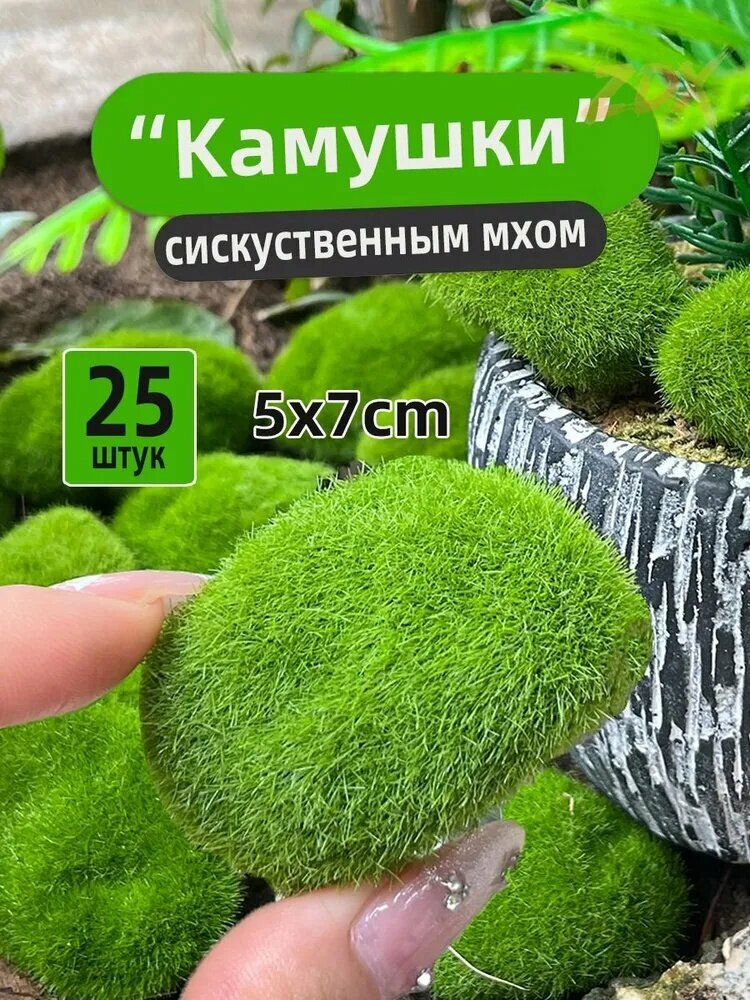 Стабилизированный мох, 25 шт