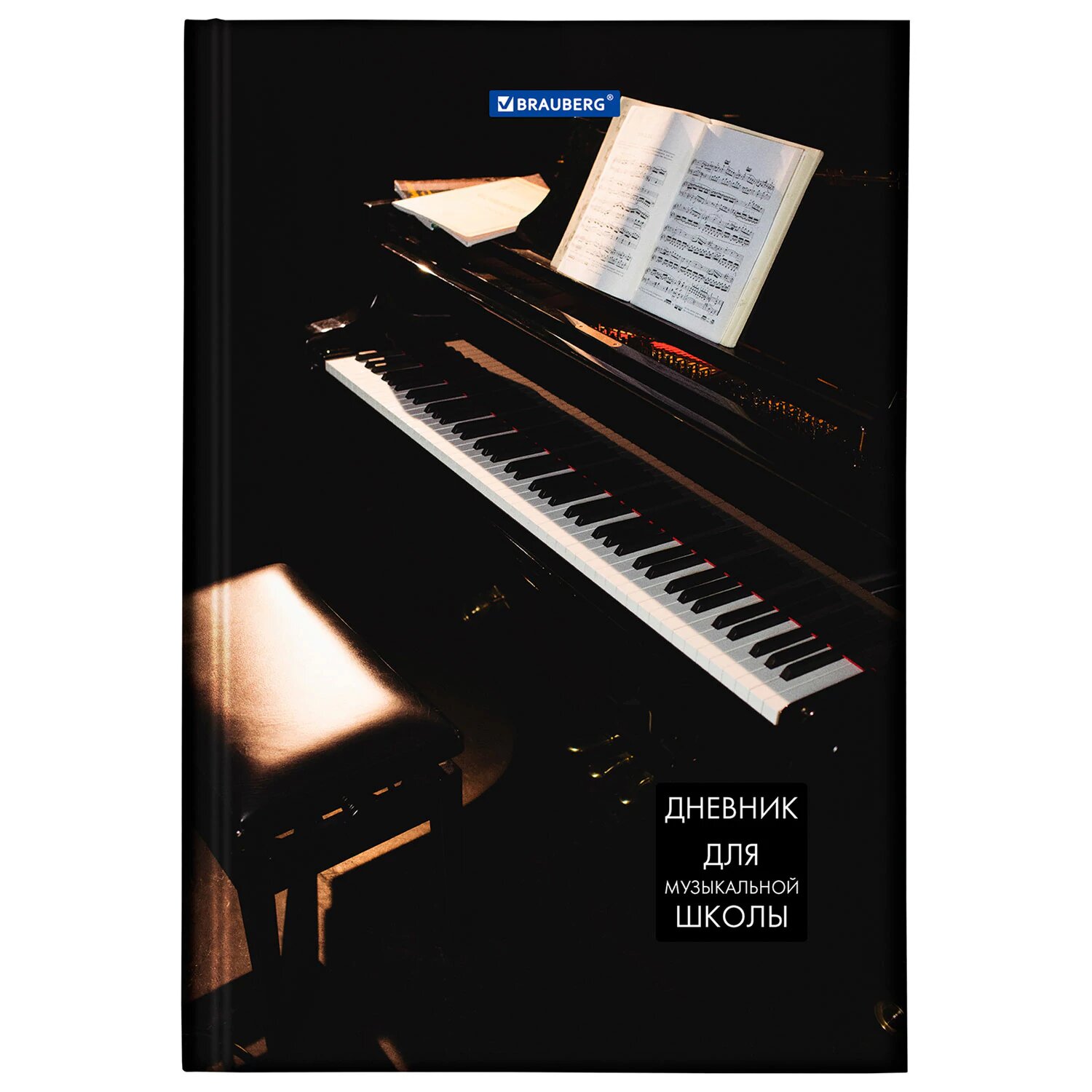 Дневник для музыкальной школы 140210 мм, 48 л, твердый, BRAUBERG, справочный материал, "Концерт", 103279