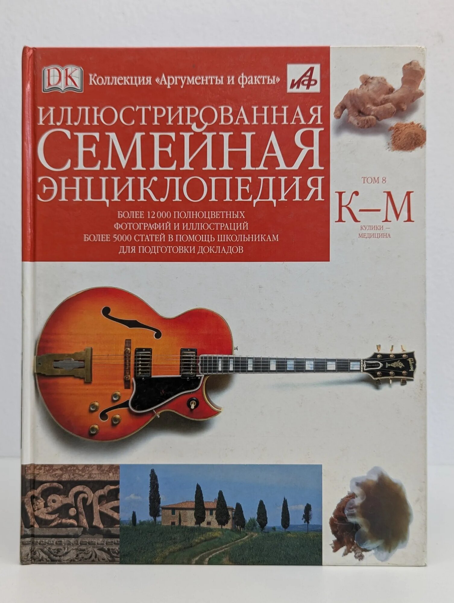 Иллюстрированная семейная энциклопедия. В 24 томах. Том 8 2008