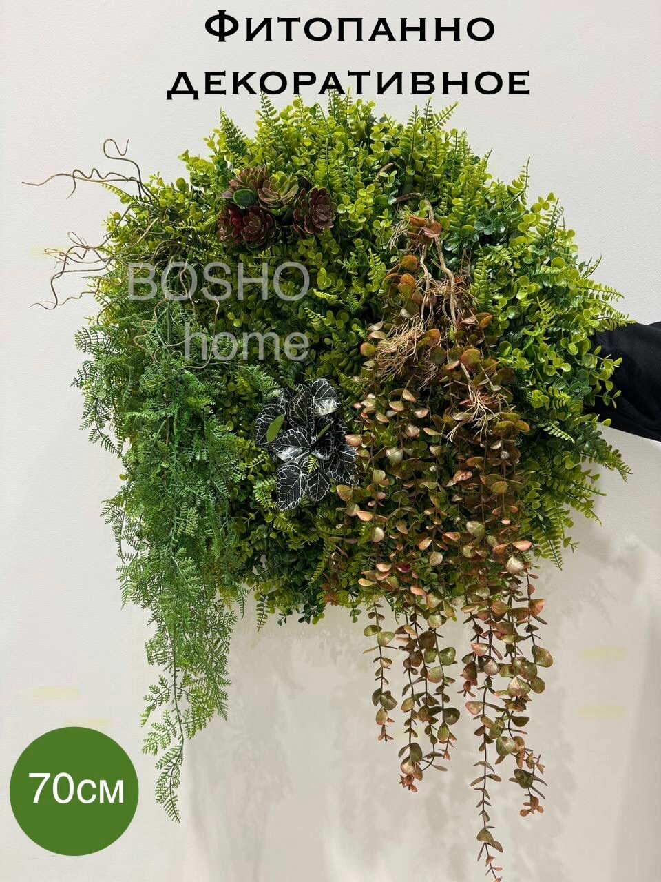 Фитопанно круглое BORDO из декоративных PREMIUM ампельных лиан и суккулентов диаметром 70 см
