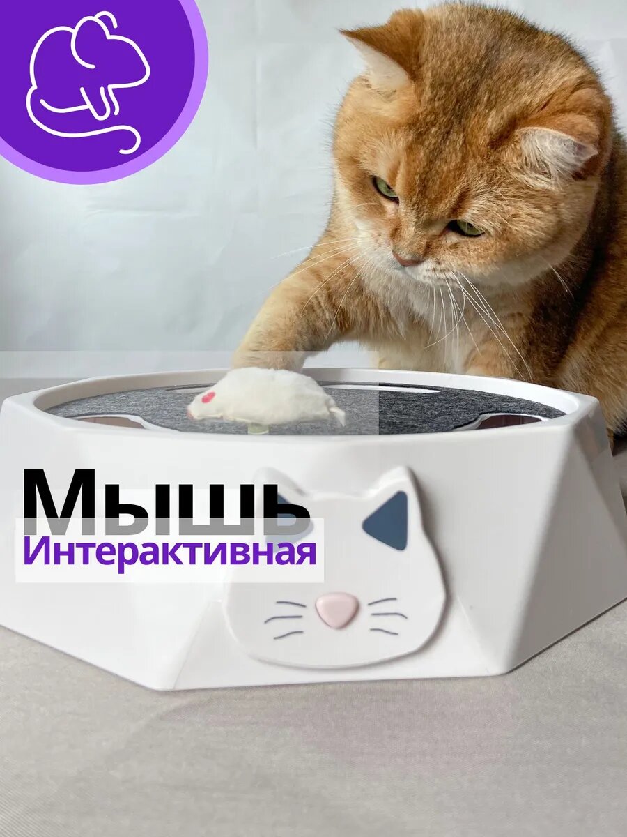 Новинка! Интерактивная мышка для кошек и котят: автоматическая дразнилка антистресс – развлечение, когда вы не дома!