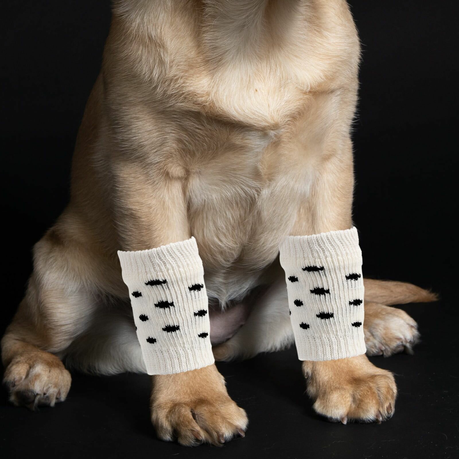 Обувь для собак