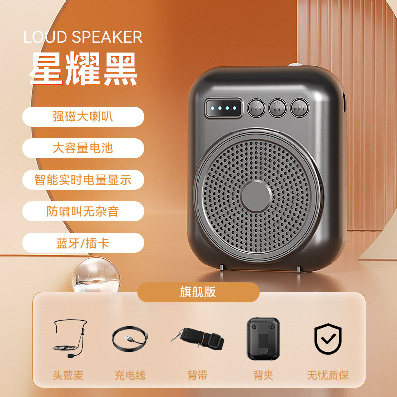 Усилитель Little Bee для учителей, Bluetooth-микрофон, громкоговоритель для учителей, наушники для преподавания, гид-динамик