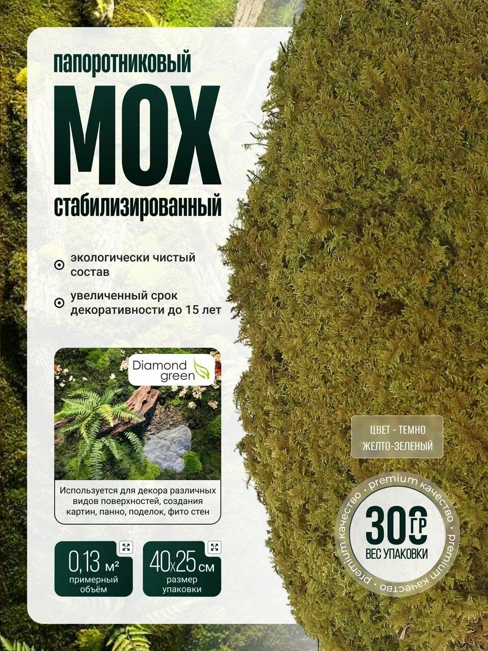 Стабилизированный мох папоротниковый