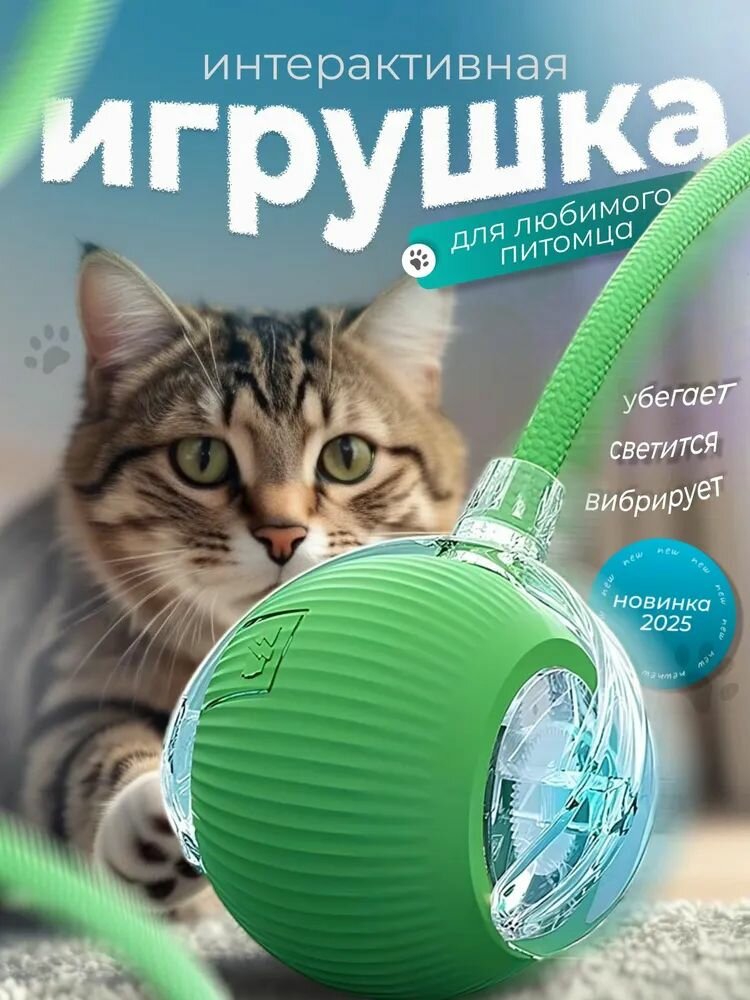 Интерактивный мяч 2025, для кошек и собак, 3 режима, зеленый