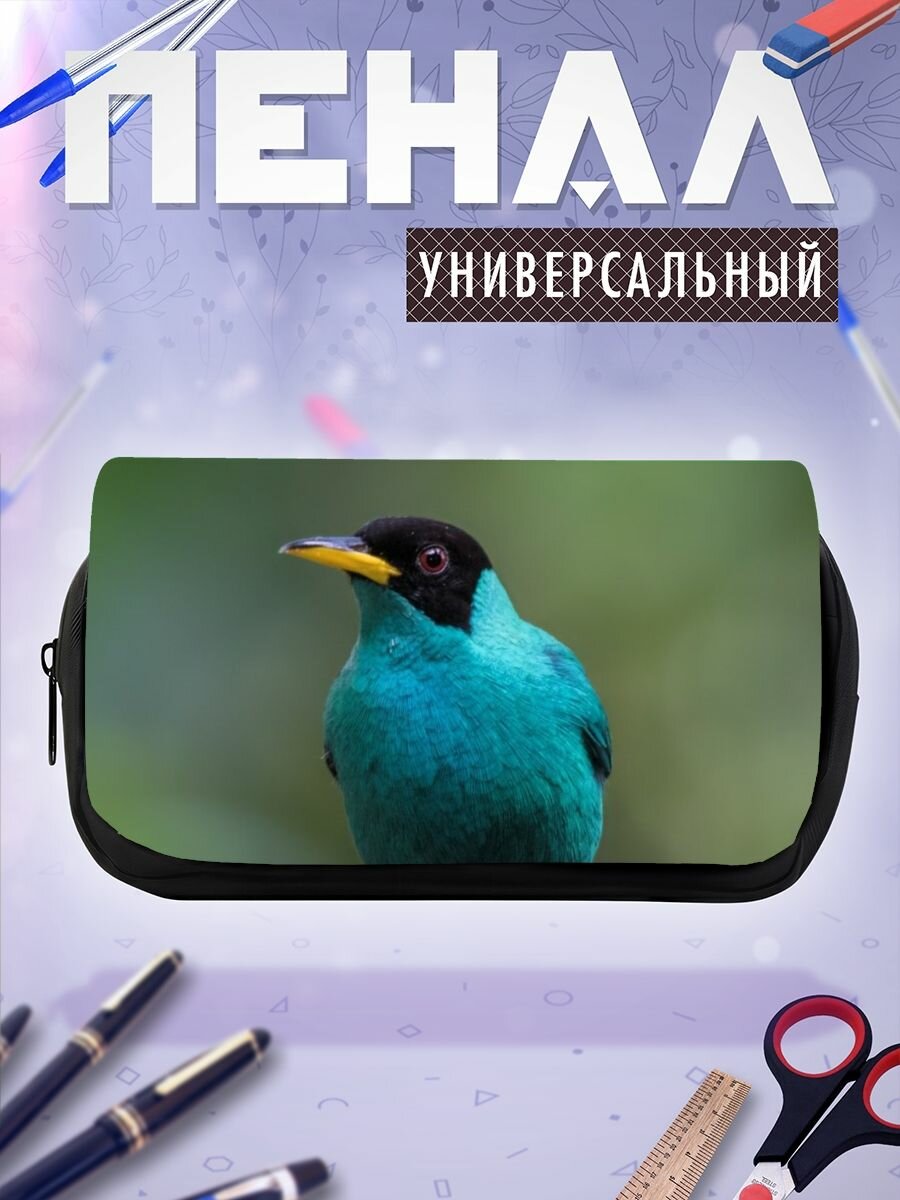 Школьный пенал Танагры Общие Блэкберд