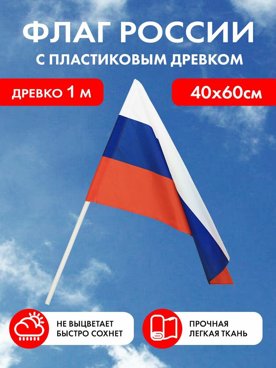 Флаг России 40х60 см с древком пластик (длина 1 метр, диаметр 20мм)