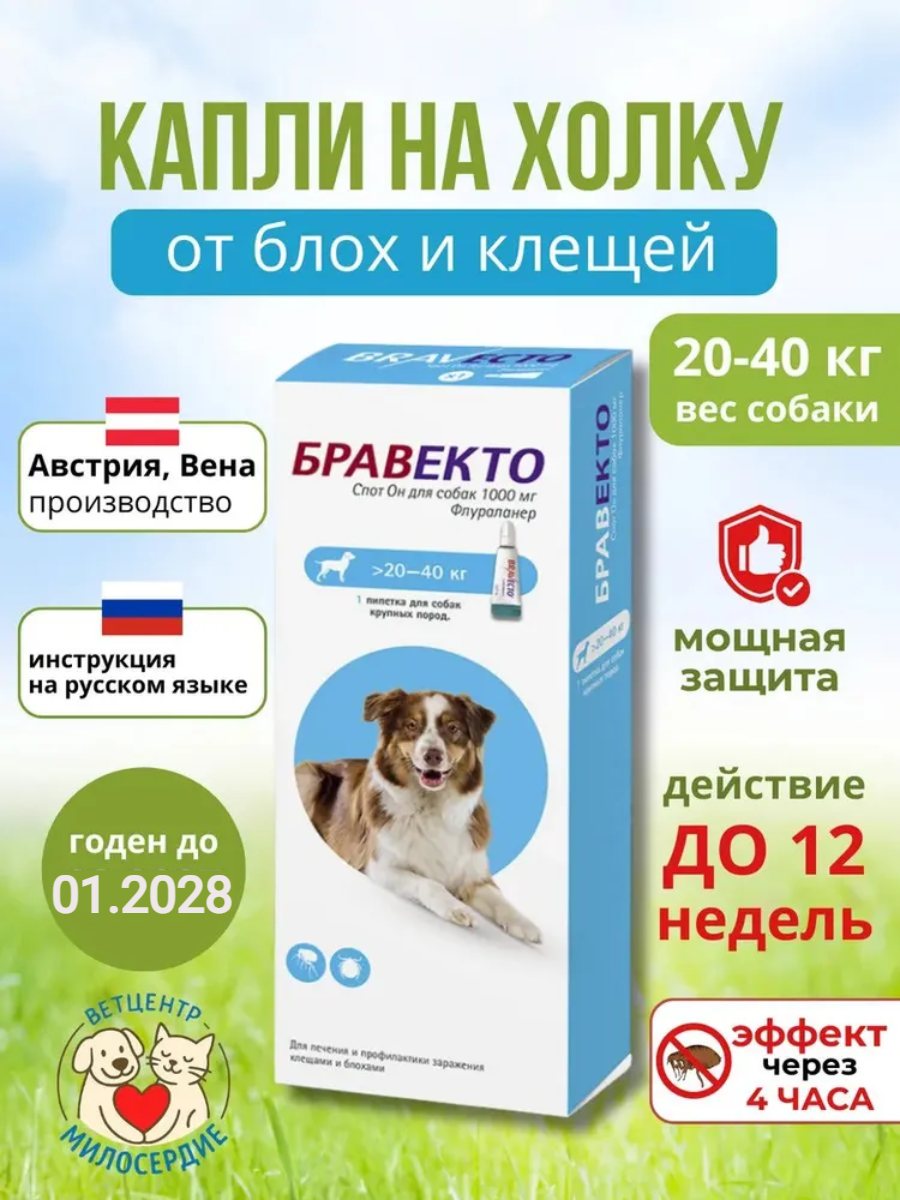 Бравекто спот он 1000 мг для собак капли на холку от блох и клещей 1 пипетка MSD