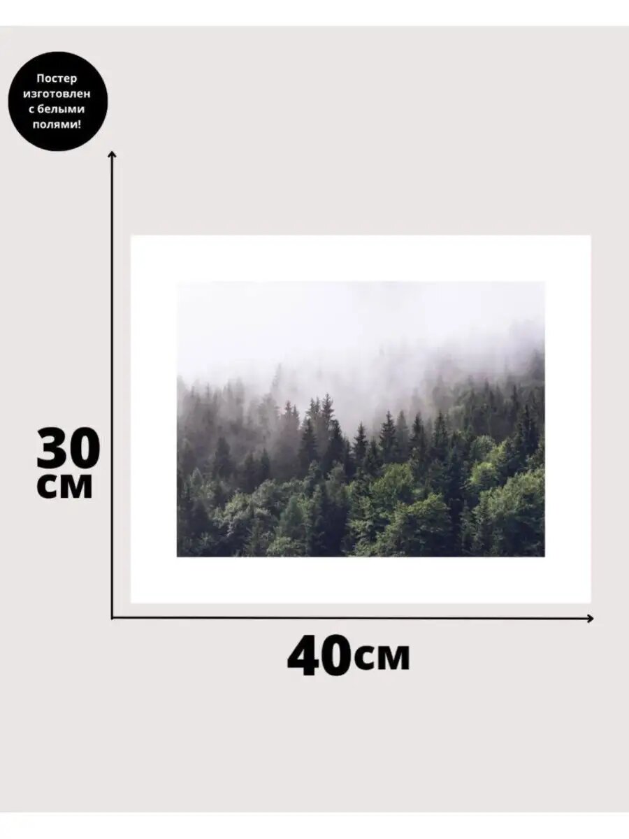 Постер лес осенний пейзаж, 40 x 30 см (с полями), бумага, без рамы