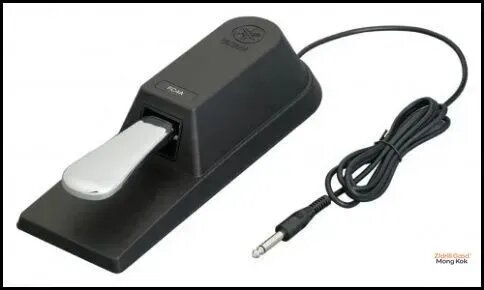 Yamaha FC4A - Sustain Pedal for Digital Piano, Synthesizer - Black