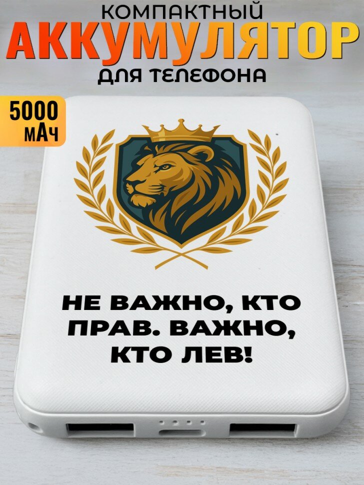 Повербанк "Не важно, кто прав. Важно, кто лев!"