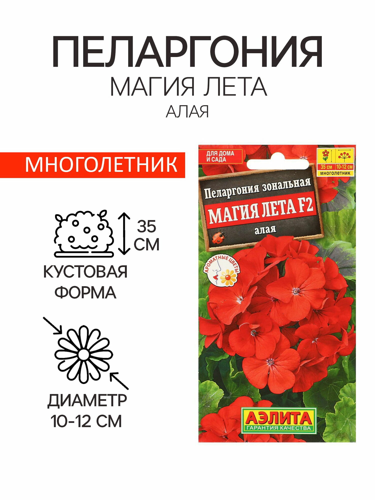 Семена цветов Пеларгония "Магия лета", алая, F2.5 шт, место выращивания: комнатное выращивание