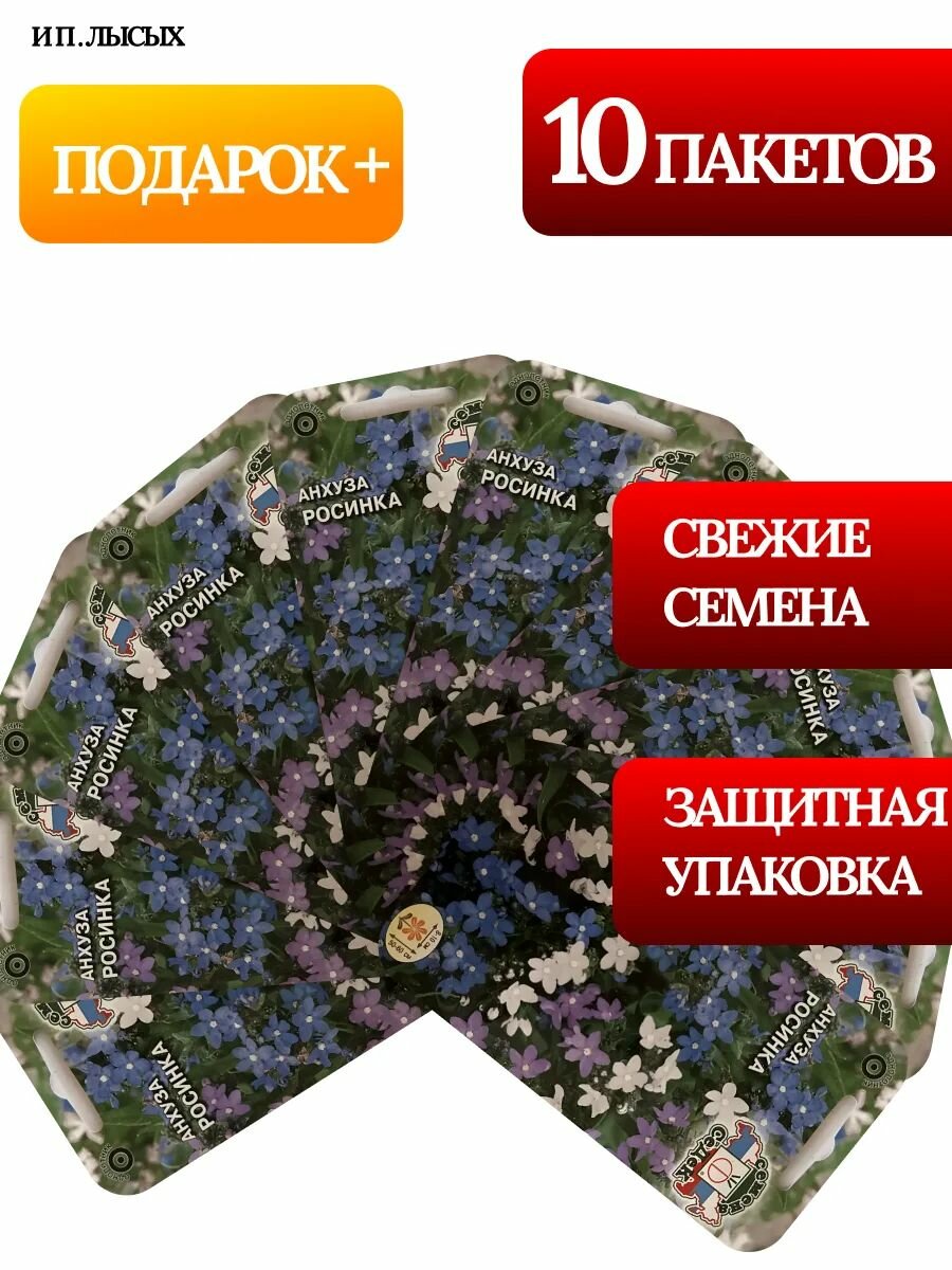 Семена Анхуза "Росинка"