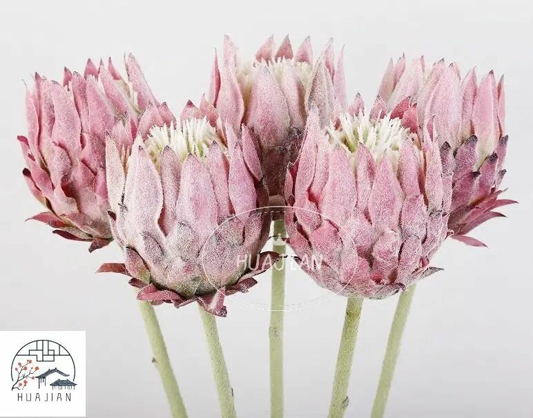 Искусственные цветы,5шт