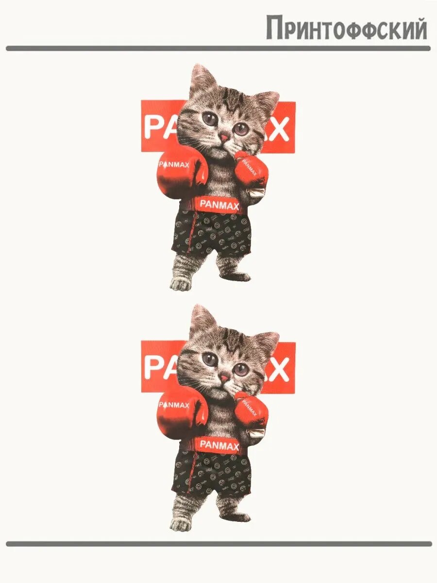 2-е (Две) Термонаклейки кот боксер