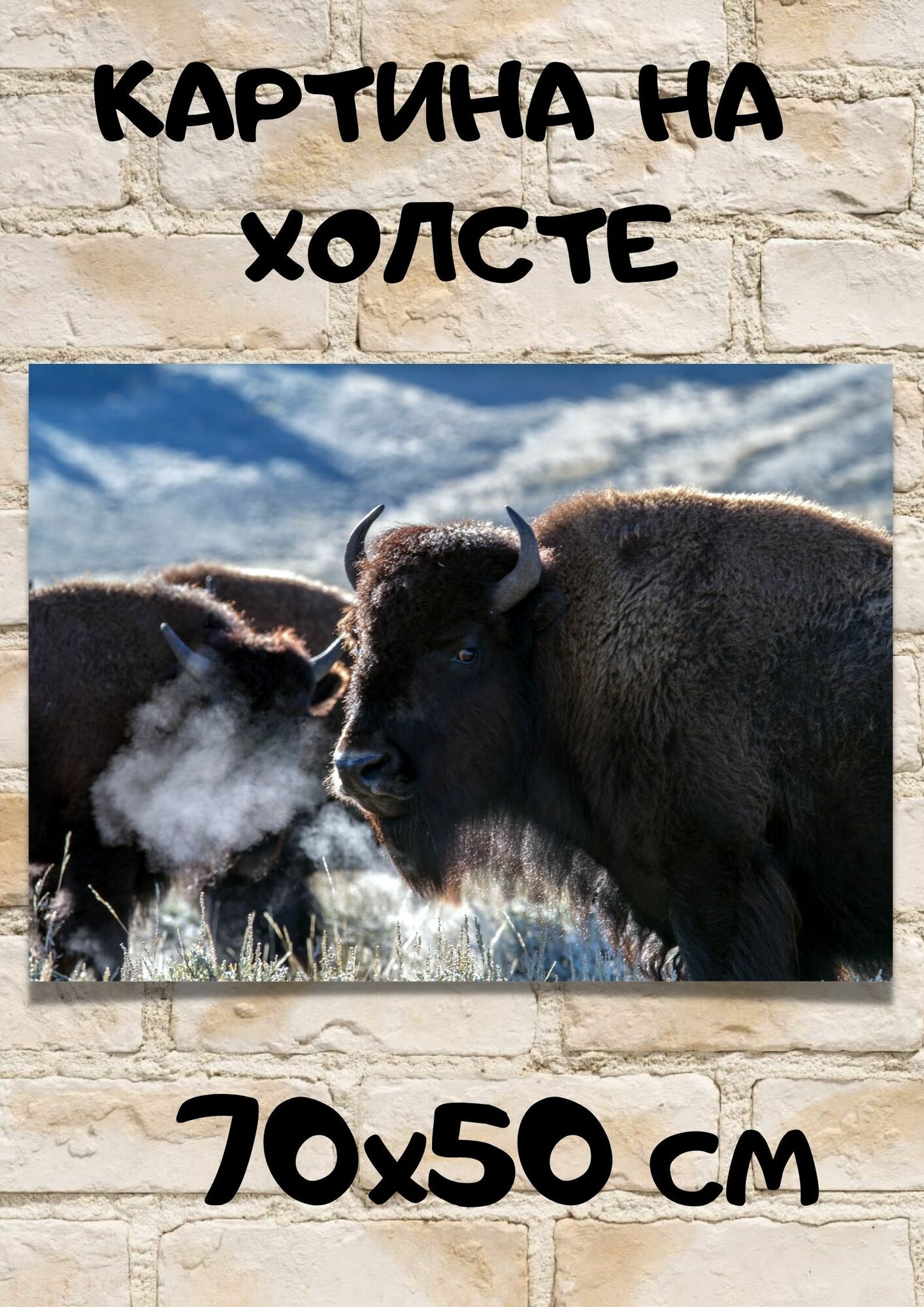 Картина с дикими животными "Стадо бизонов" 70х50 см на стену
