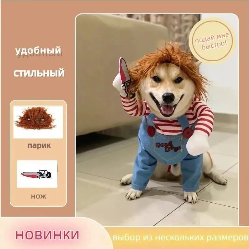 Одежда для домашних животных - это забавно, возьми нож и переоденься в костюм