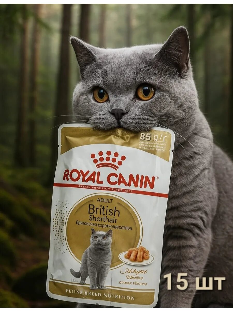 Корм Royal Canin "British", для британских кошек, влажный, в соусе, 15 шт
