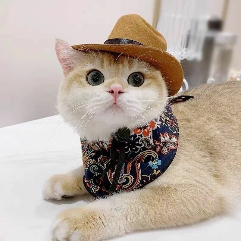 Одежда для животных — фото 1