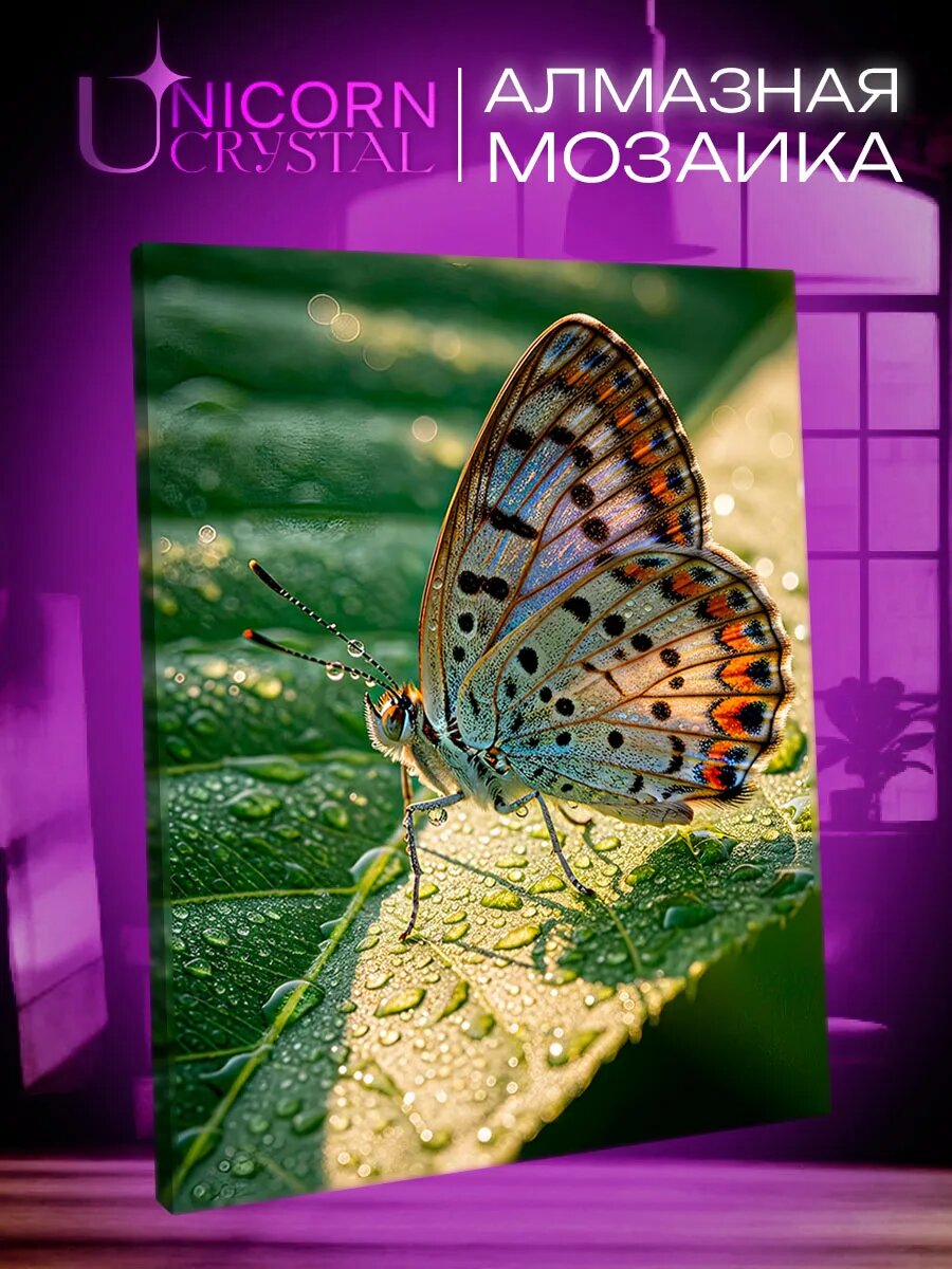 Алмазная мозаика Бабочка