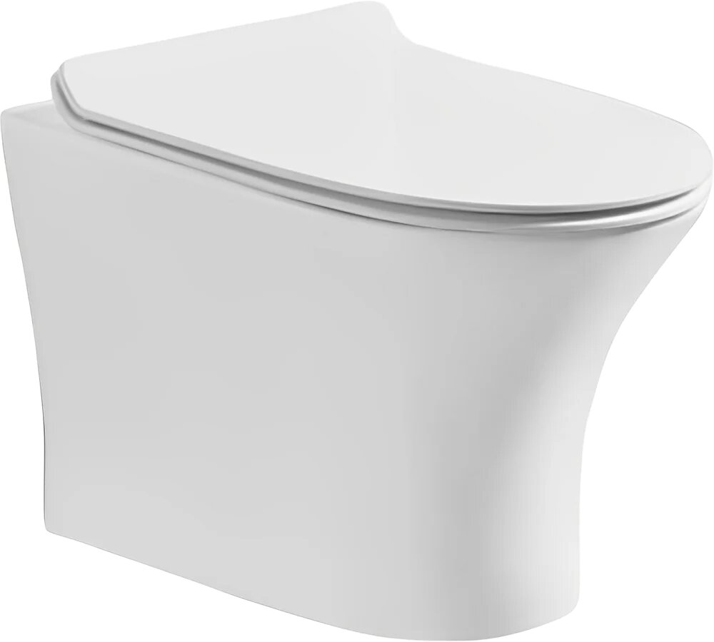 Унитаз подвесной Ceruttispa Bernina Aria 7191 с микролифтом, безободковый, без бачка, фарфоровый, белый, глянцевый, овальный, сиденье для унитаза в комплекте