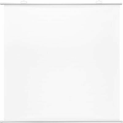 Экран Cactus 150x150см Map type CS-PSRM-150x150-WT 1:1 настенно-потолочный рулонный белый