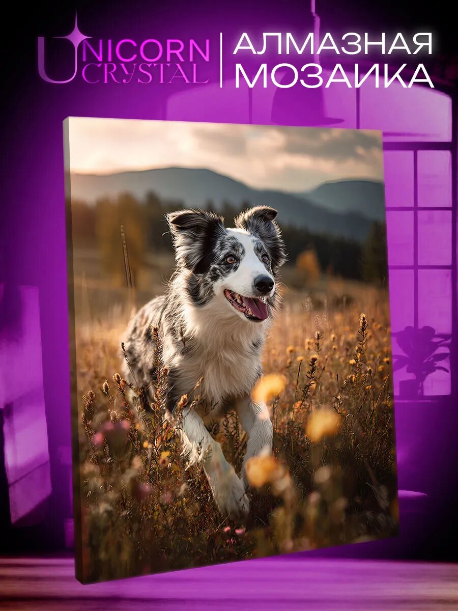 Алмазная мозаика Собака