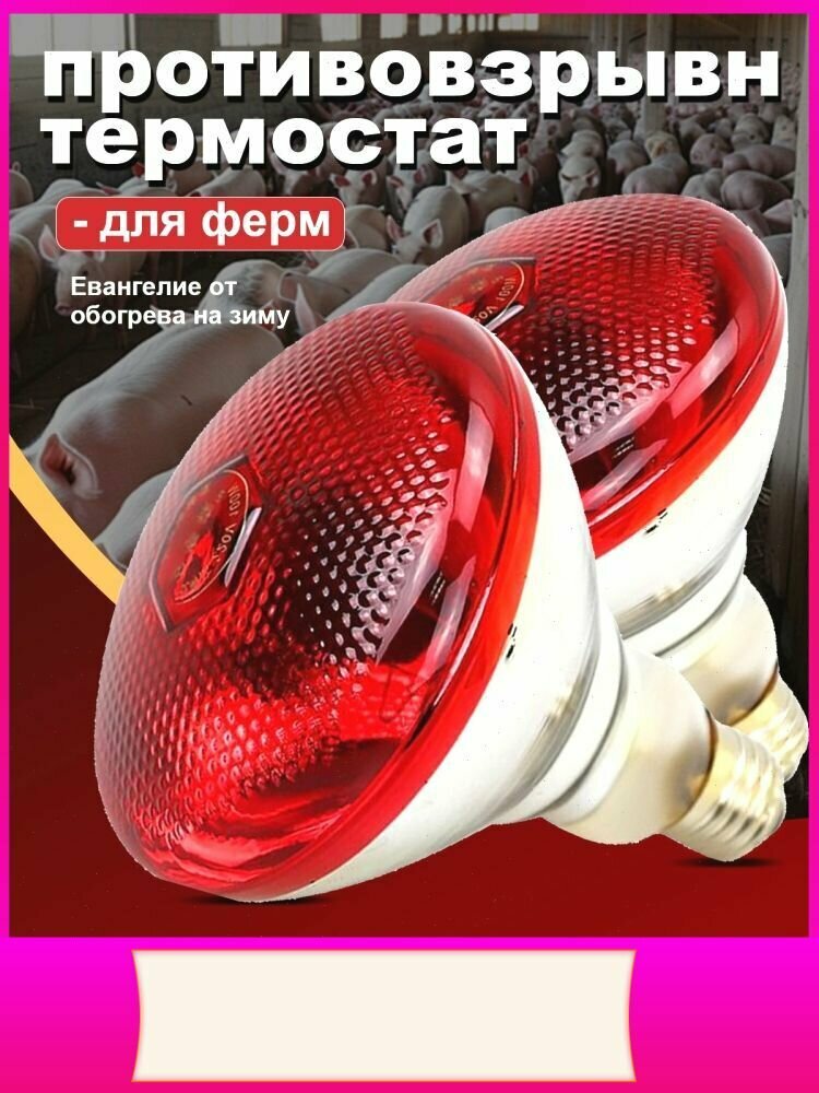 Лампа инфракрасная для обогрева кур, щенков, цыплят, свиней, курятника, брудера/ Лампочка галогенная для животных, растений и теплиц 250Вт Е27 - 2 шт