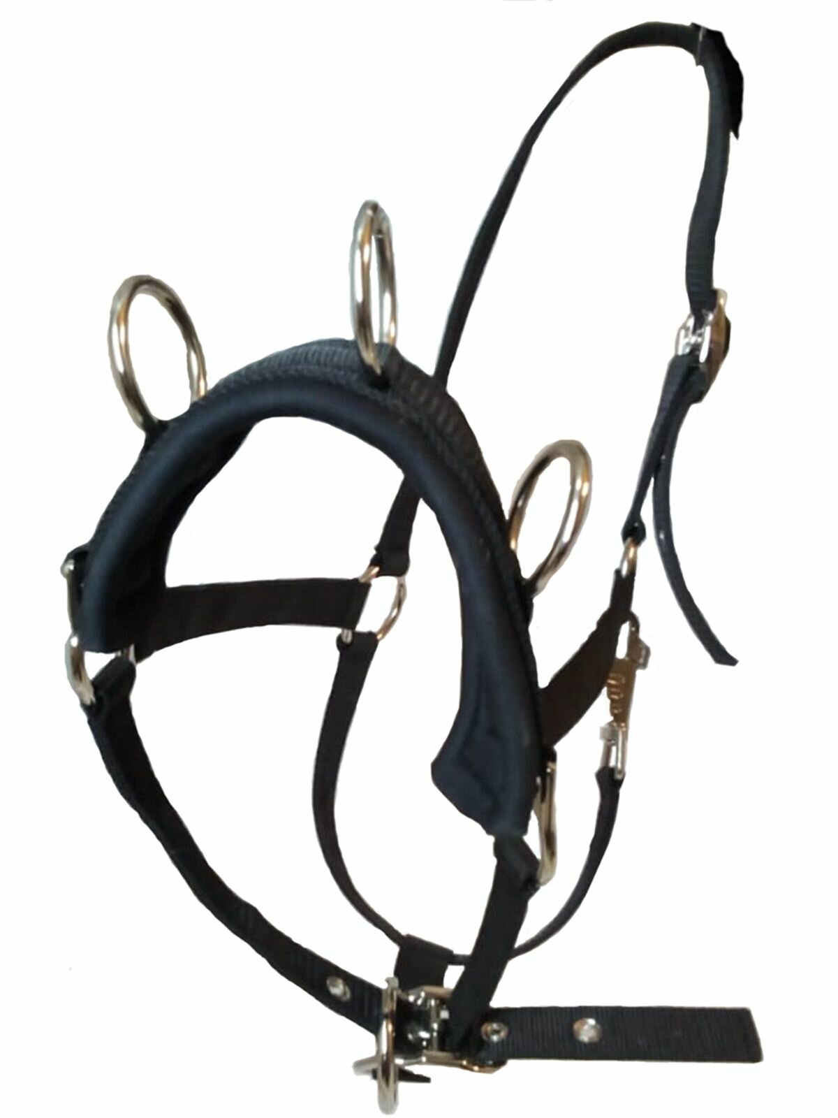 Капцунг для лошади нейлоновый с неопреновыми подложками RIDER цвет черный, размер COB