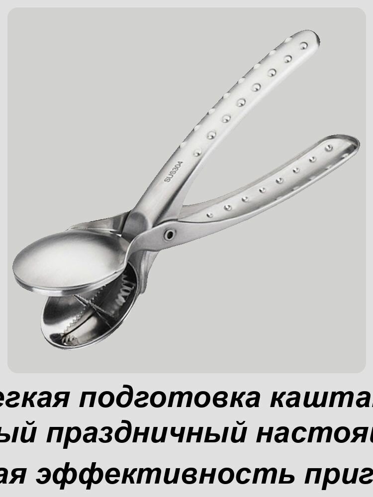 Высушенные фруктовые Щелкунчики Peeler Clip , Орехокол