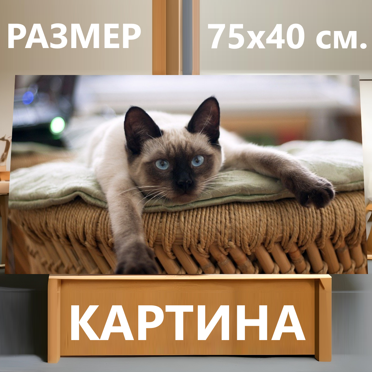 Картина на холсте "Кот, кошка, тайская кошка" на подрамнике 75х40 см. для интерьера