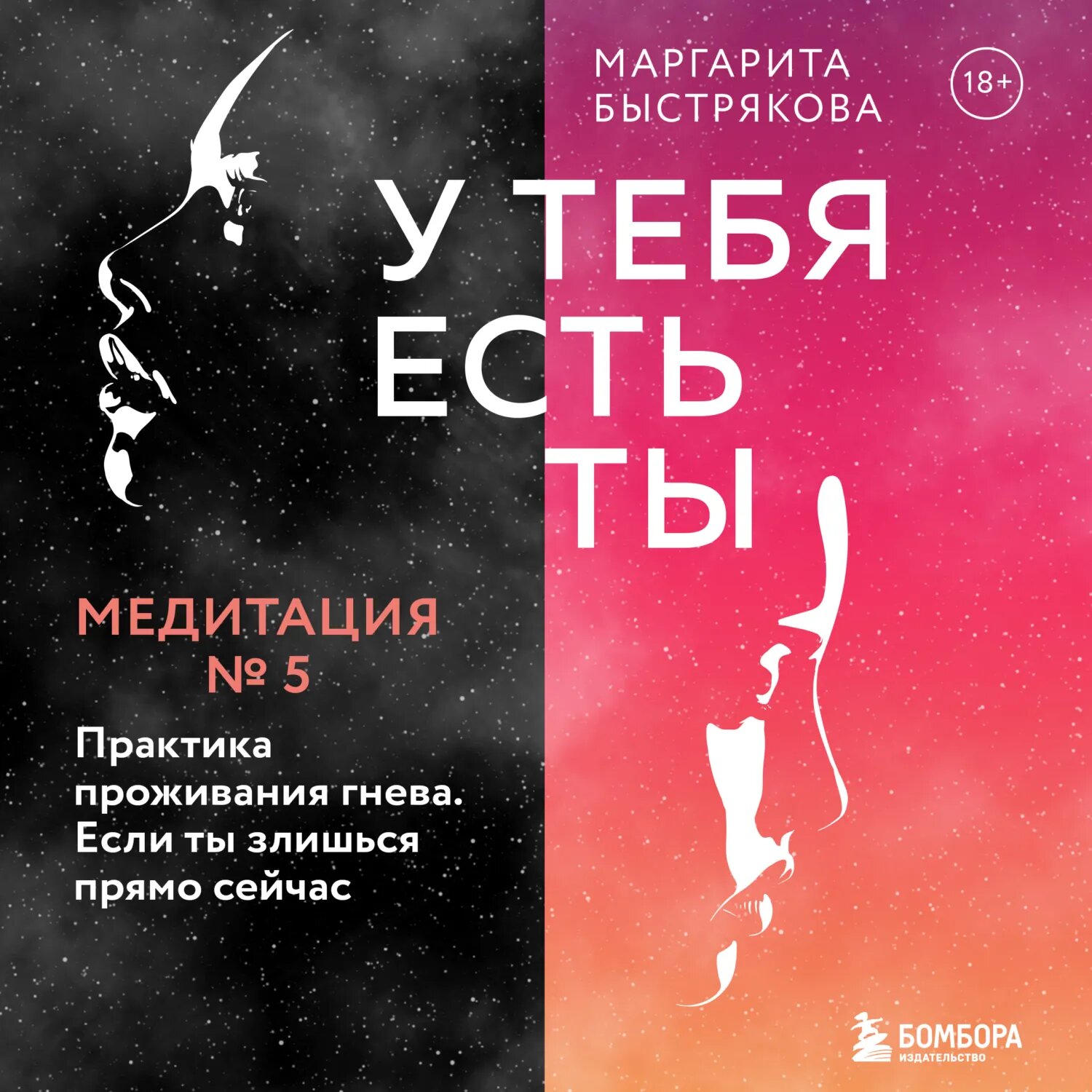 У тебя есть ты. Медитация 5. Практика проживания гнева. Если ты злишься прямо сейчас [Аудиокнига]