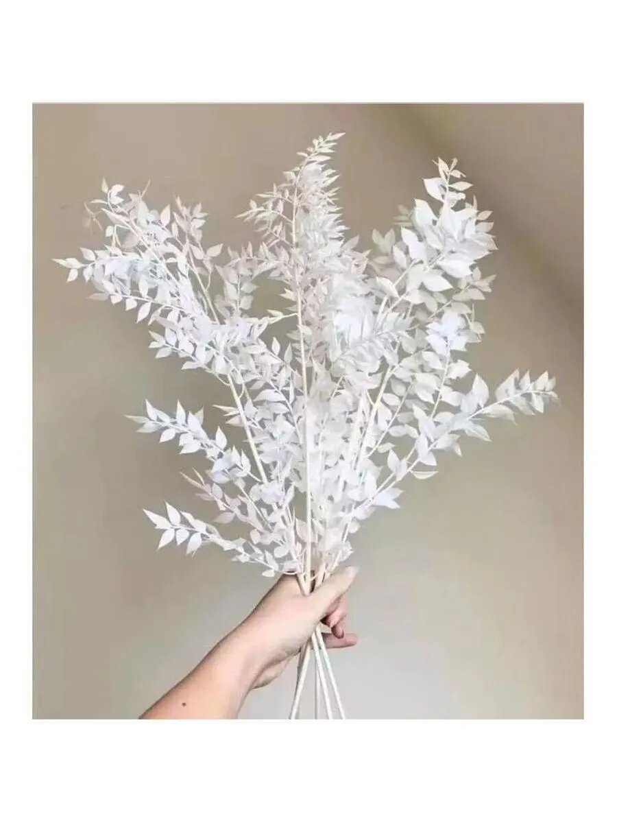 Сухоцветы Рускус, 50 см, 50 гр