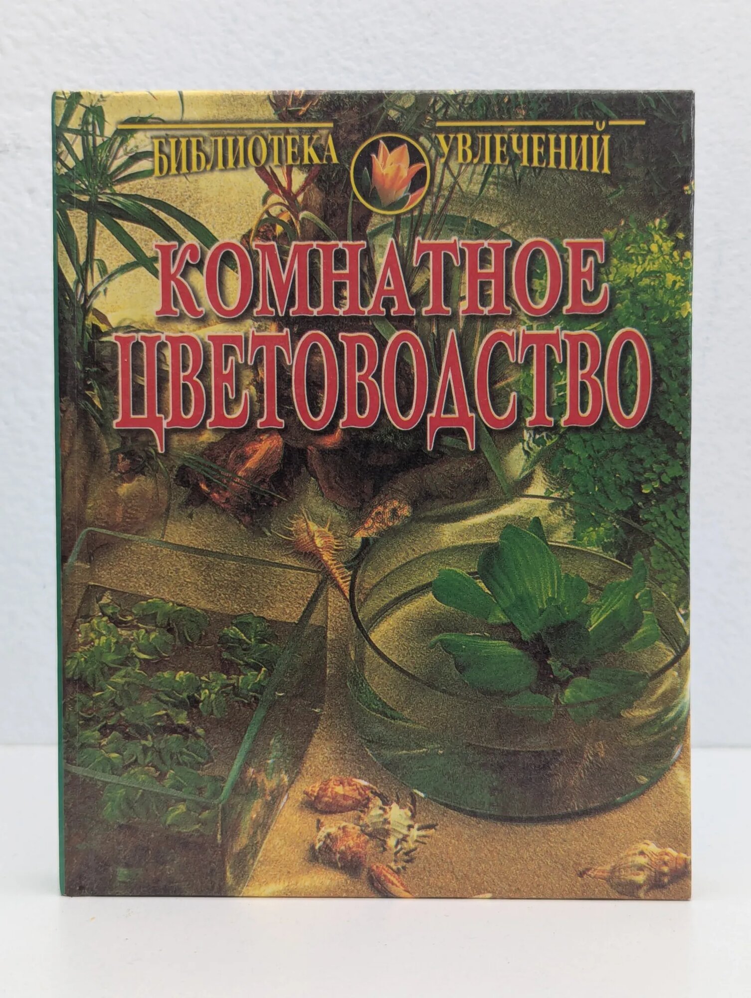 Комнатное цветоводство 2003