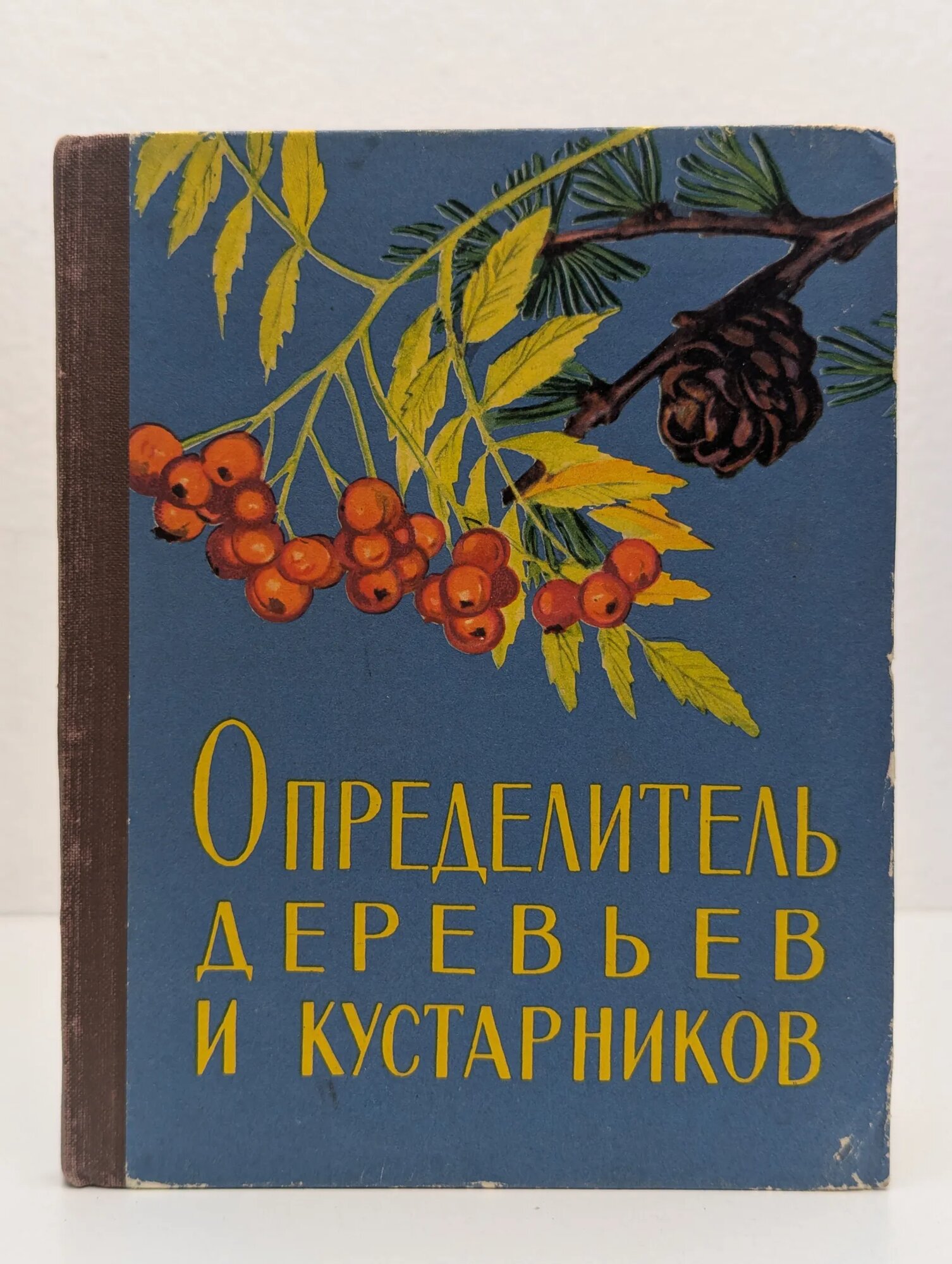 Определитель деревьев и кустарников Лантратова Антонина Степановна, Овчинникова Евгения Александровна 1965