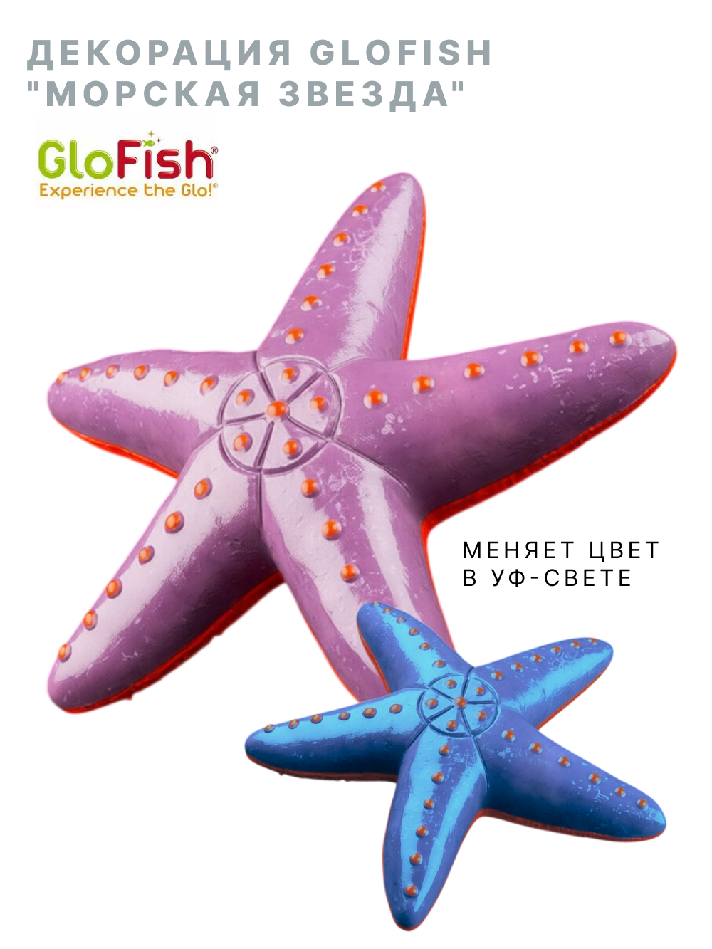 Декорация с GLO-эффектом GLOFISH "Морская звезда" 12,7х5,1х10,2см