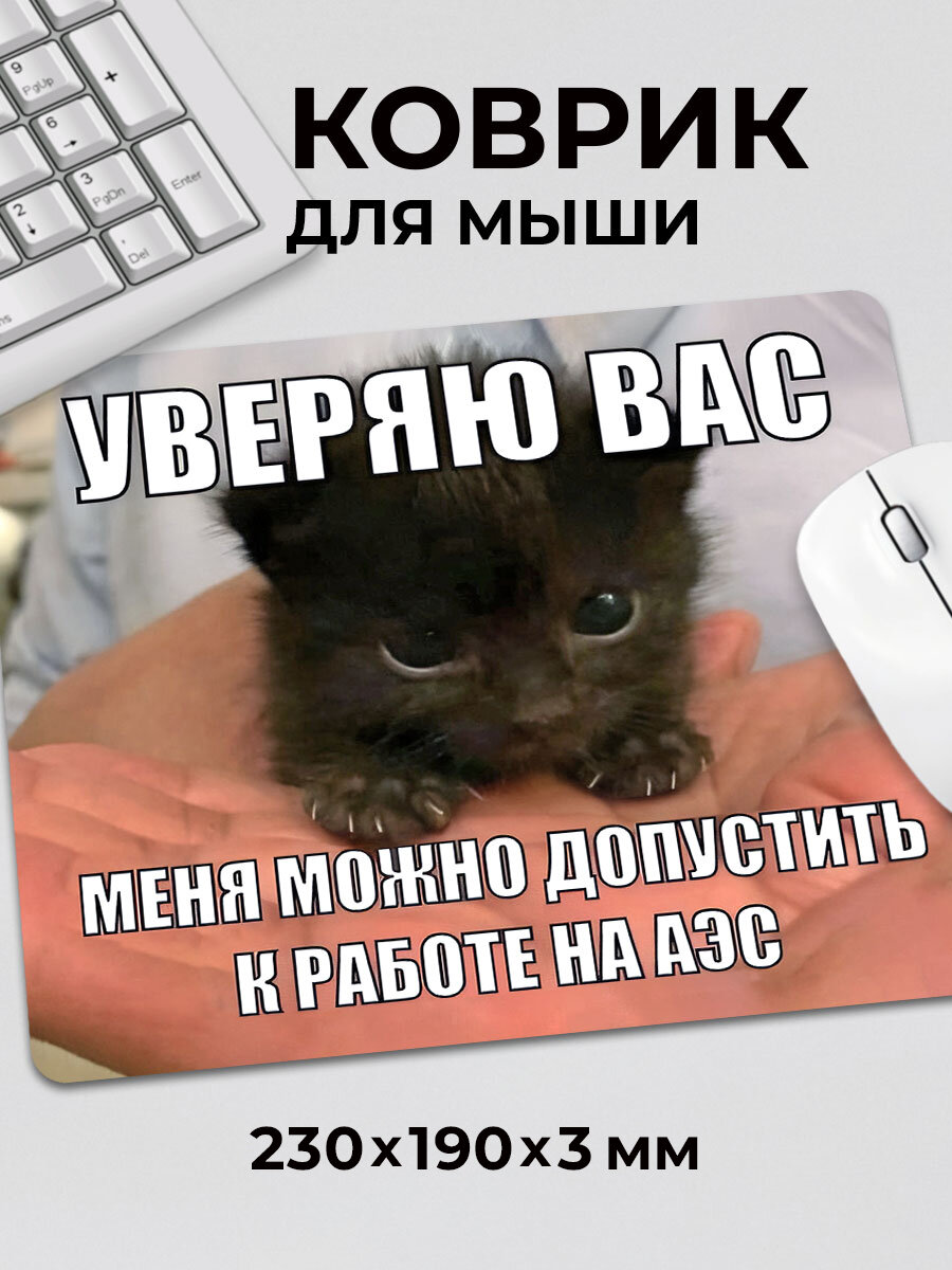 Коврик для мышки с приколом мем кот котик Уверяю вас