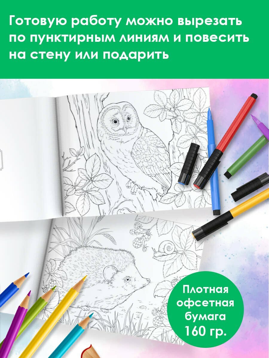 Моя любимая природа — фото 1