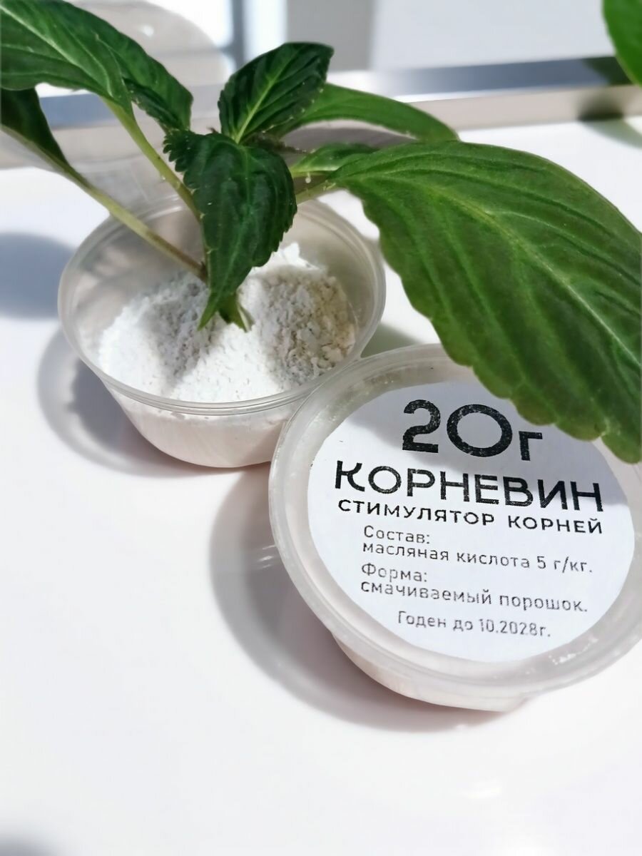 Стимулятор корней "Корневин", для растений, для иммунитета, удобная упаковка, 20 г