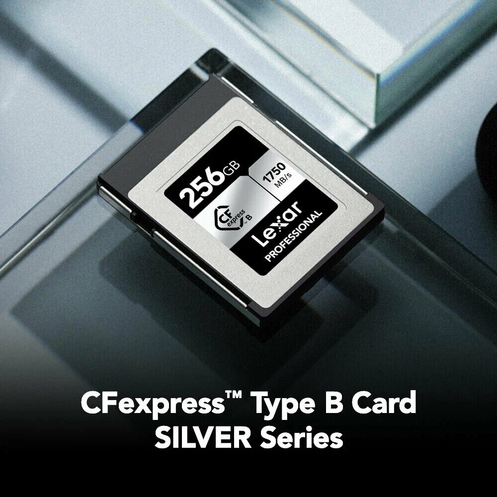 256Гб Карта памяти Lexar Professional CFexpress Type-B SILVER (LCXEXSL256G-RNENG)