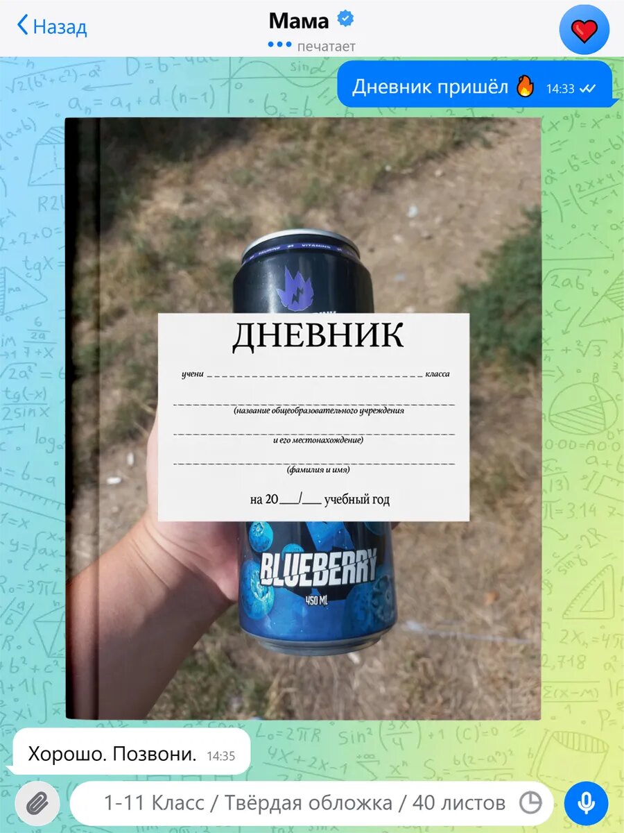 Школьный дневник с принтом Роблокс