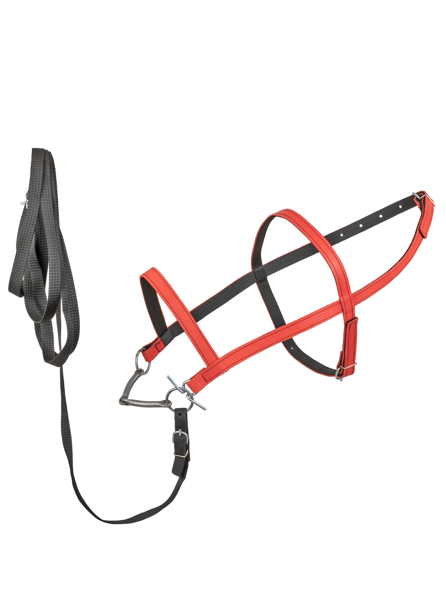 Узда комбинированная капрон кожа цветная 25мм