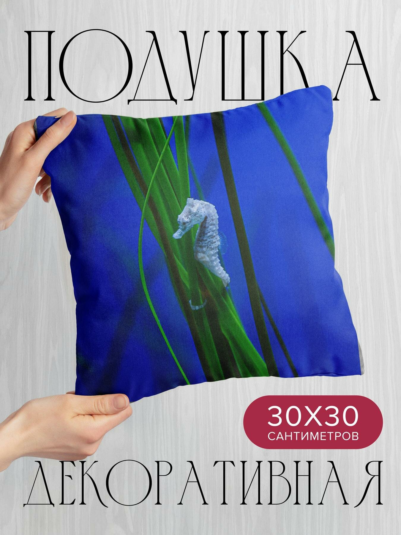 Подушка декоративная, 30x30см / Макро / морской конек / водоросли