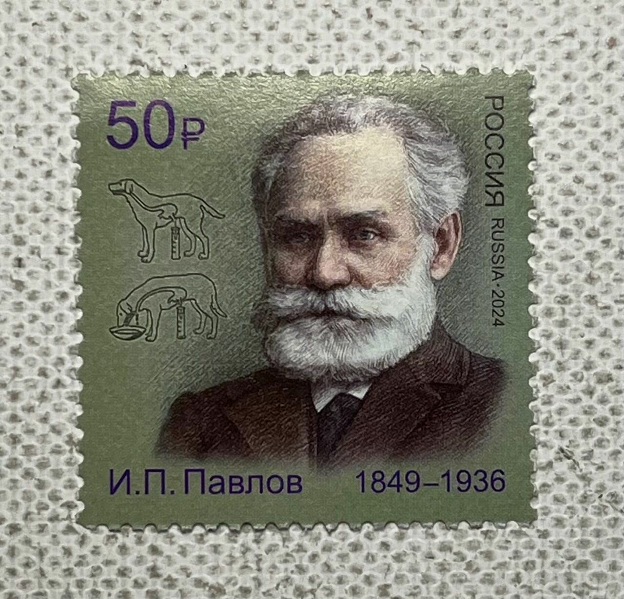 Россия марка И. П. Павлов 2024 года