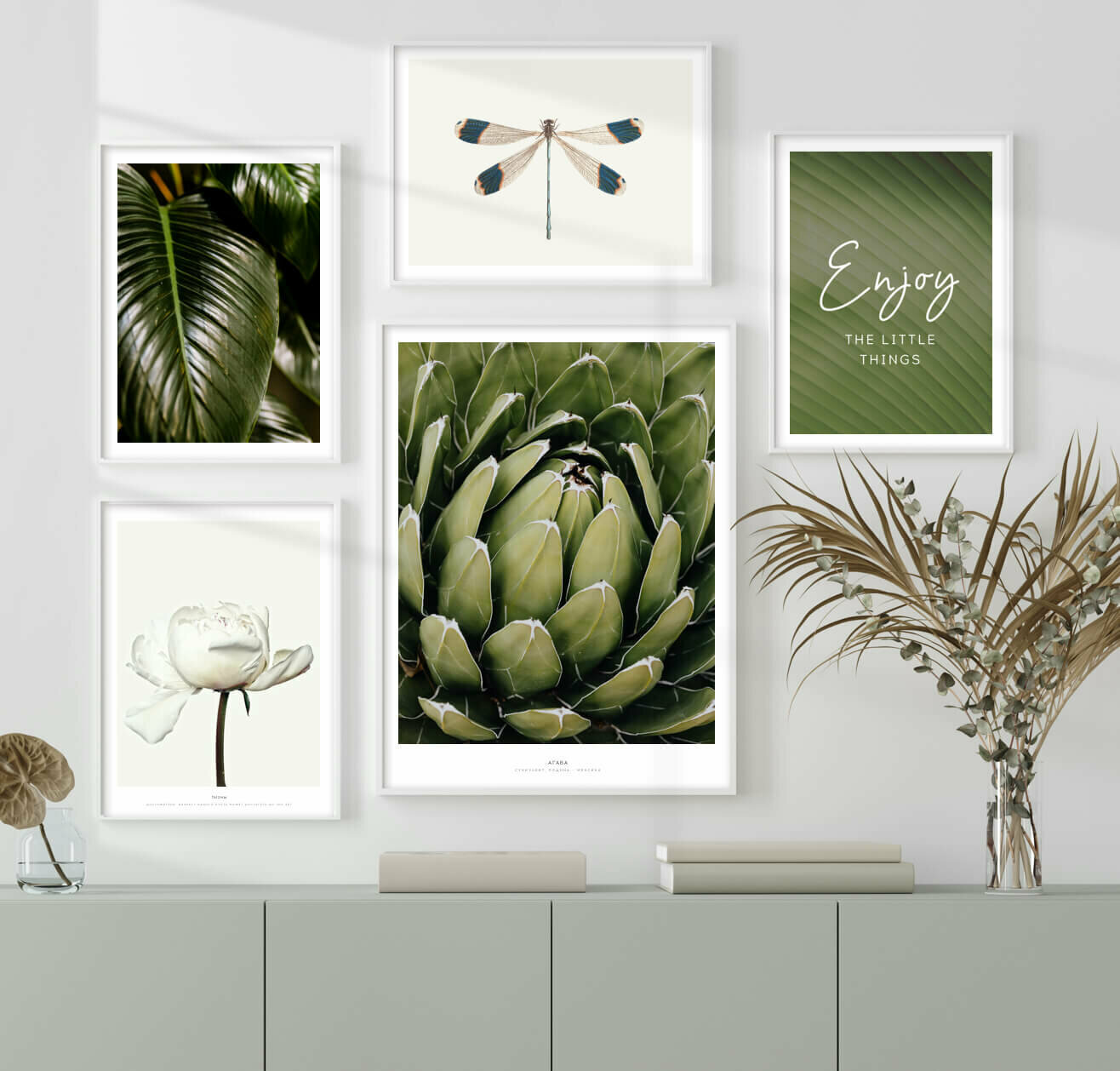 Постер 5 шт без рамки "Агава растения" набор картин для интерьера