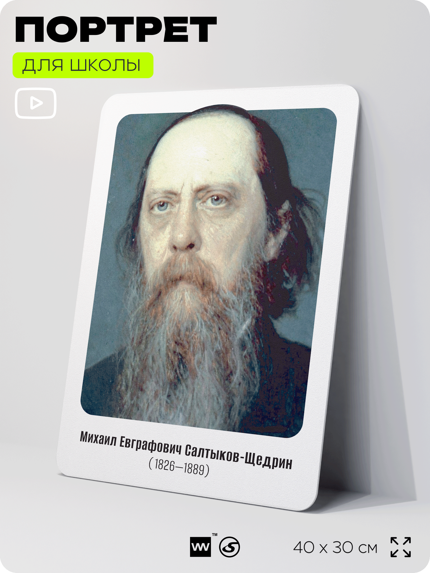 Портрет для школы в кабинет литературы и русского языка "Салтыков-Щедрин Михаил Евграфович", стенд школьный для класса, для оформления классного уголка, 40х30 см, Silver Plane x Айдентика Технолоджи
