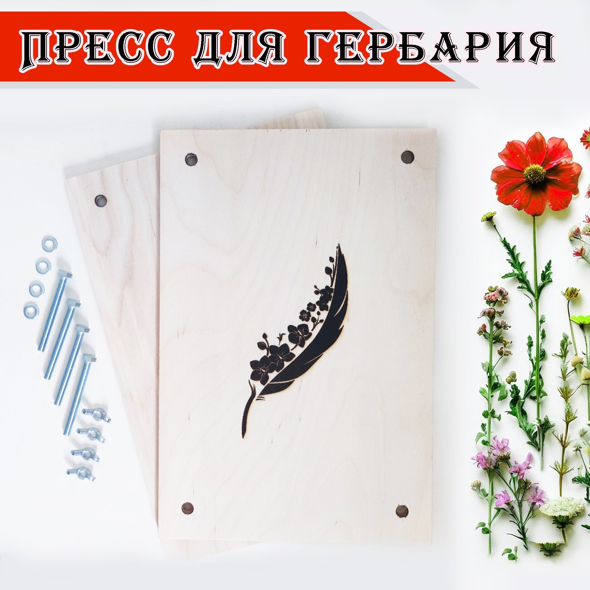 Пресс для гербария