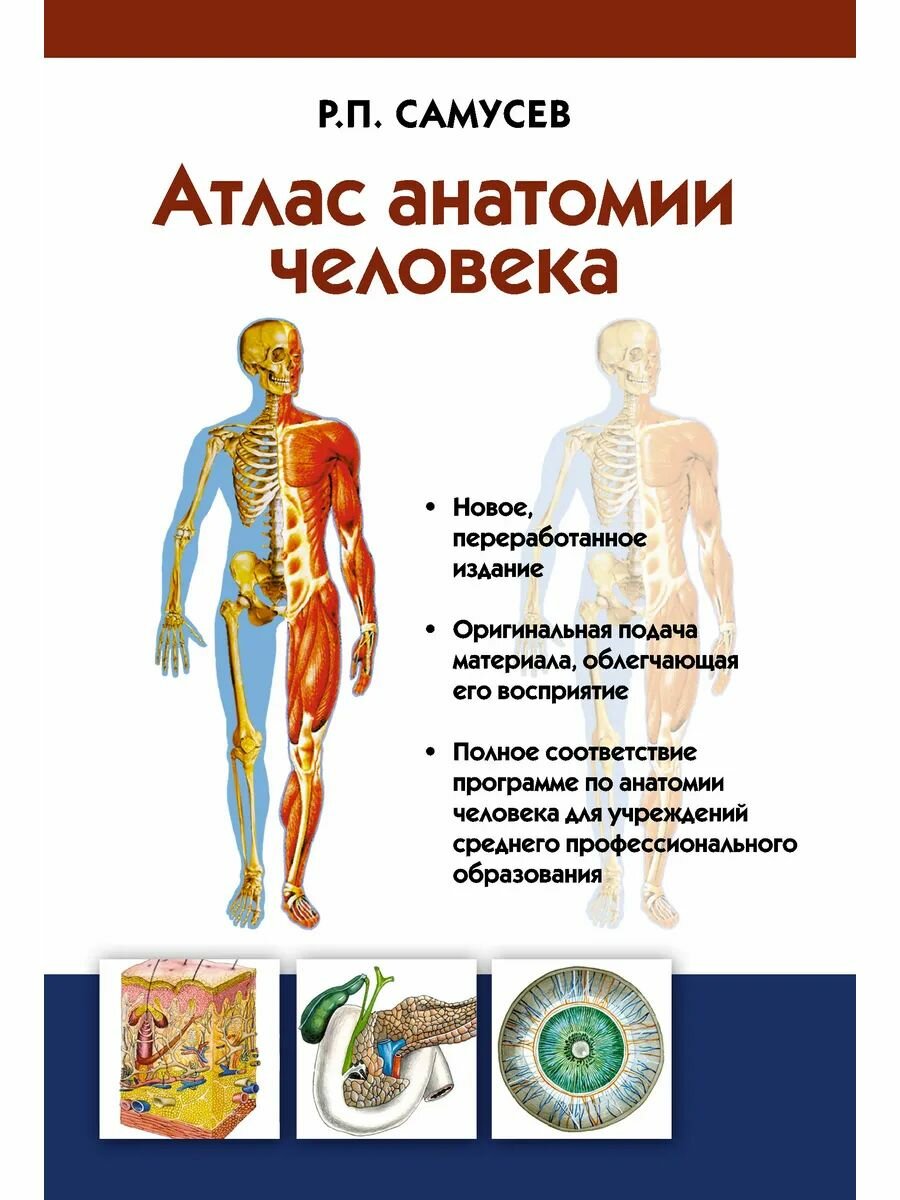 Атлас анатомии человека