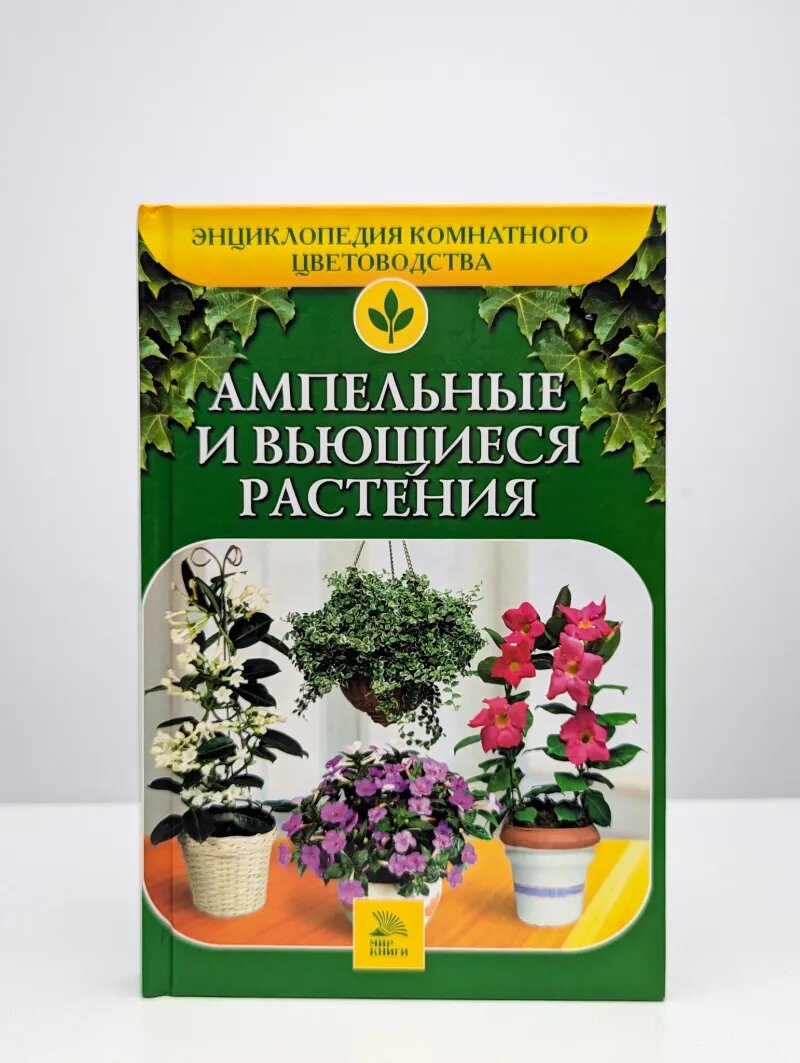 Ампельные и вьющиеся растения