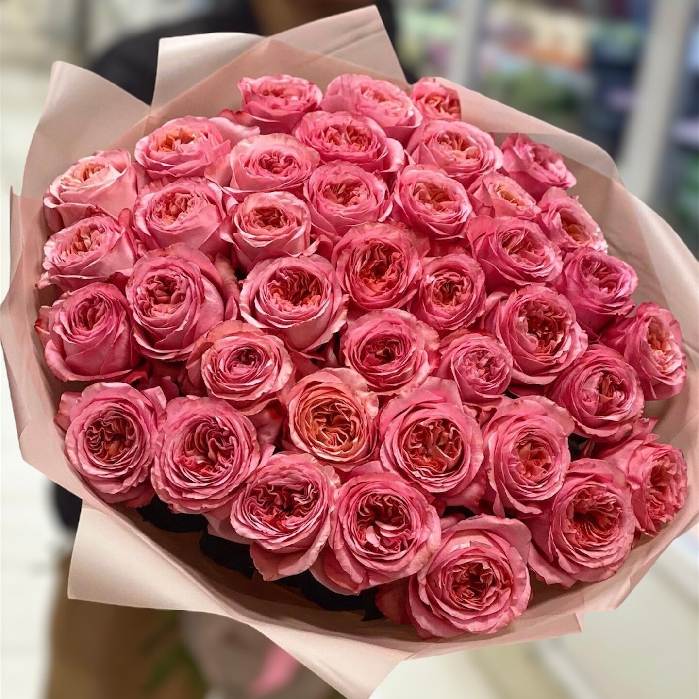Букет из розовых пионовидных роз 45 шт, красивый букет цветов, шикарный, премиум цветы, премиум букет